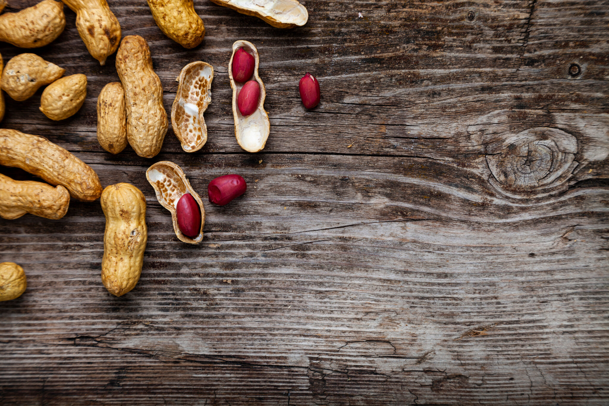 The 15 Best Chickpea Substitutes | FeedMeBetter